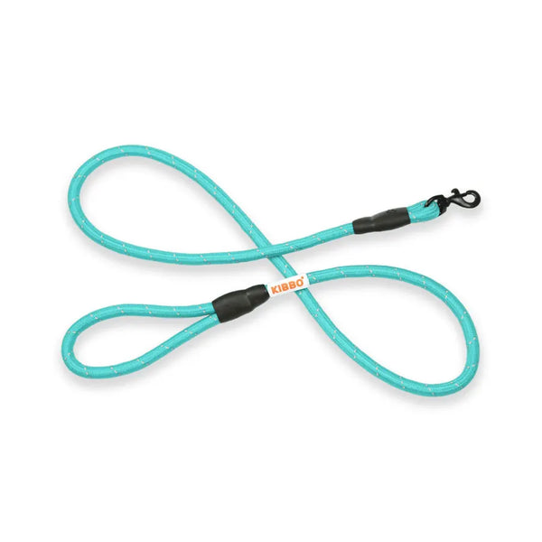 Perfect Sea Green dog leash | 12mm thick | Durable Material – KIBBO ...